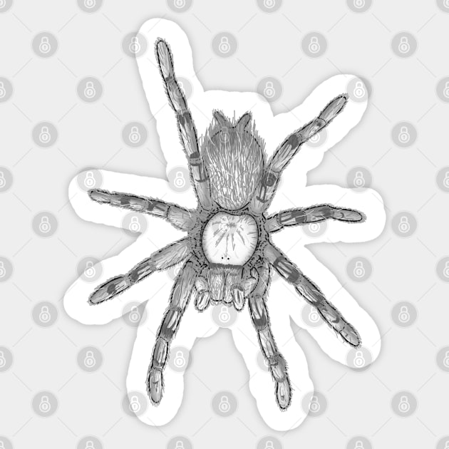 Tarantula Only “Vaporwave” V39 (Black & White) - Spider Only - Sticker | TeePublic